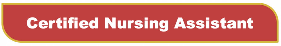 CMA, PCT, CET, CNA, CPT and Massage Therapist – Tampa Training ...