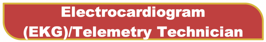 CMA, PCT, CET, CNA, CPT and Massage Therapist – Tampa Training ...